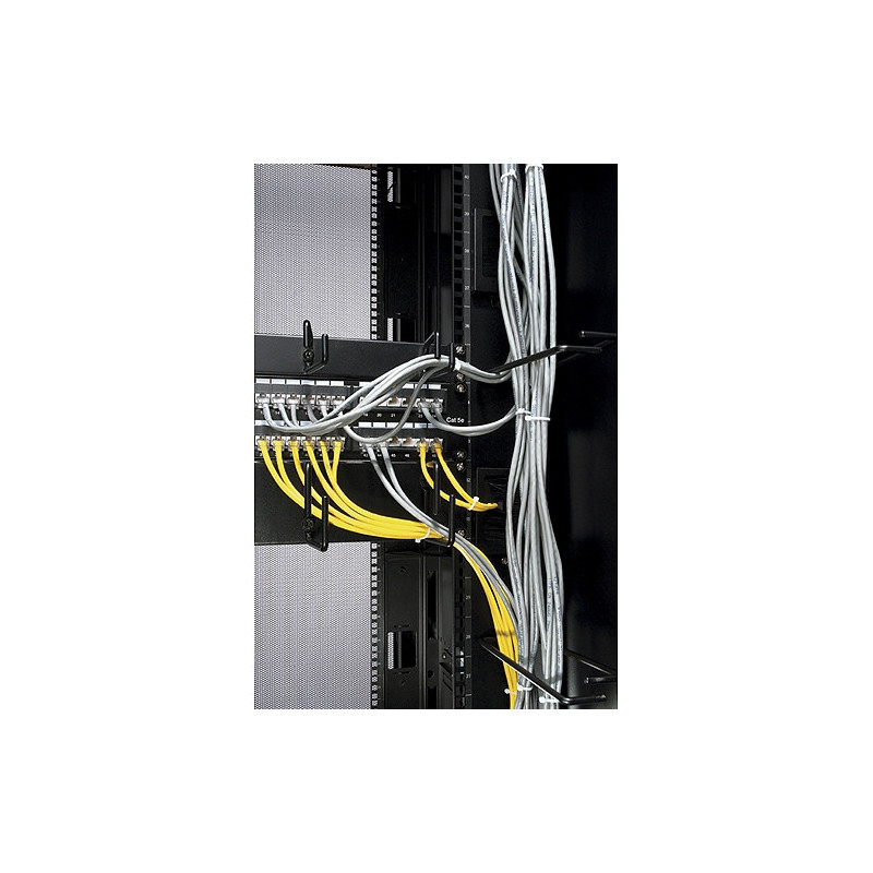 APC NetShelter Cable Management, Vertical Cable Manager, Rings, for ...
